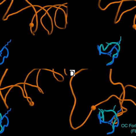 Rupture Of Watson Crick H Bonds In The Transcription Bubble And Download Scientific Diagram