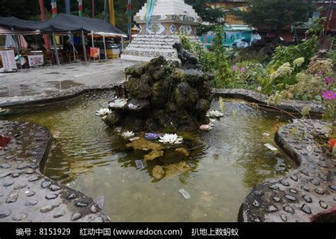 池塘中的山石高清图片下载 红动中国