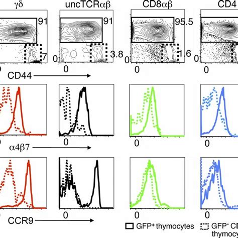 Expression Of α4β7 And Ccr9 In Newly Generated Mature Thymocytes