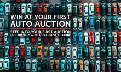 Ultimate Beginner S Guide To Navigating Auto Auctions