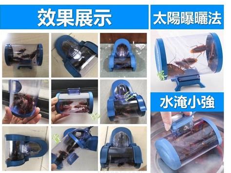 蟑螂跑車誘捕器 滅蟑 清蟑 送天然誘餌3包 純物理 只進不出 虐殺蟑螂 捕蟑器 滅蟑 除蟑 蟑螂剋星 除蟲 抓捕蟑器 家具及居家用品 居家