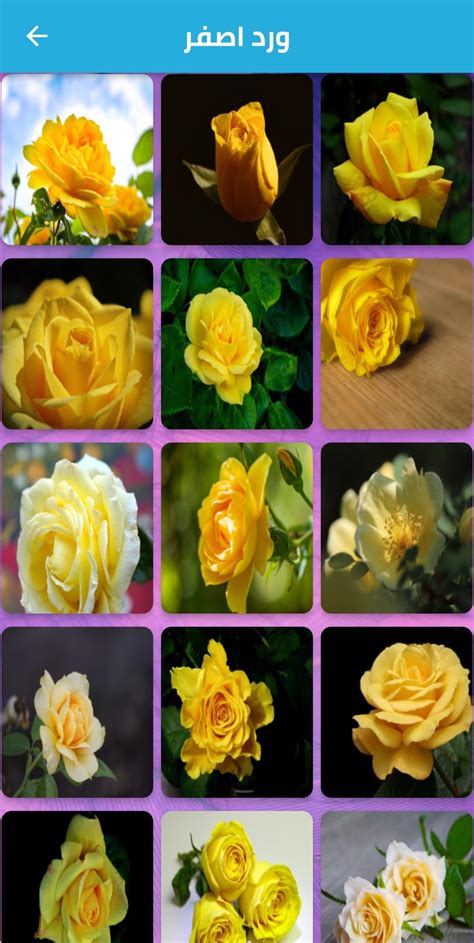 Скачать خلفيات ورد صور ورد Apk для Android