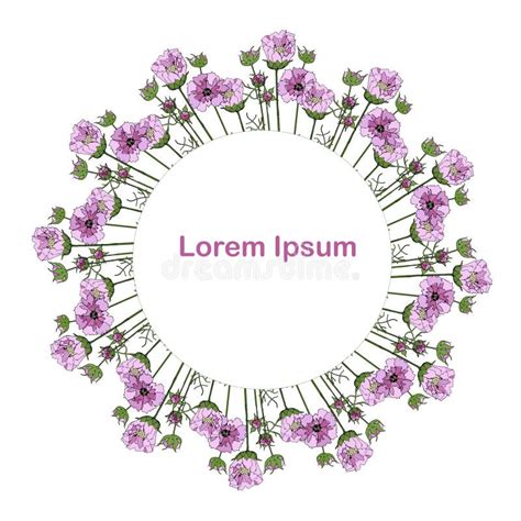 Cosmos Pink Flowers Round Pattern Lorem Ipsum Hand Drawn Plant On