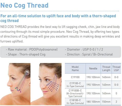 Neo Cog Thread Lifting Cog Cannular Pdo Sl Medical Español