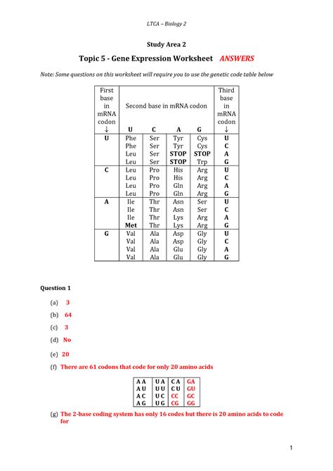 Gene Expression Practice Exam Questions