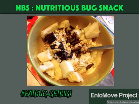 Nutritious Bug Snack The Crickets Muesli Entomove Project