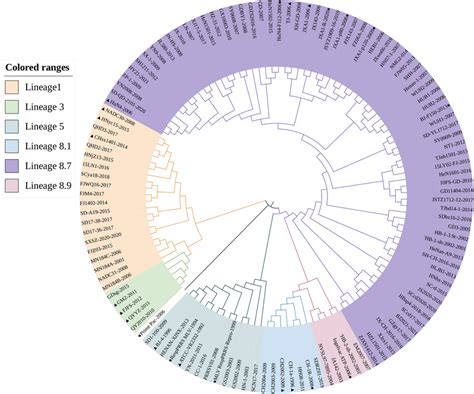 the phylogenetic tree was constructed based on the nsp4 of 123 prrsv