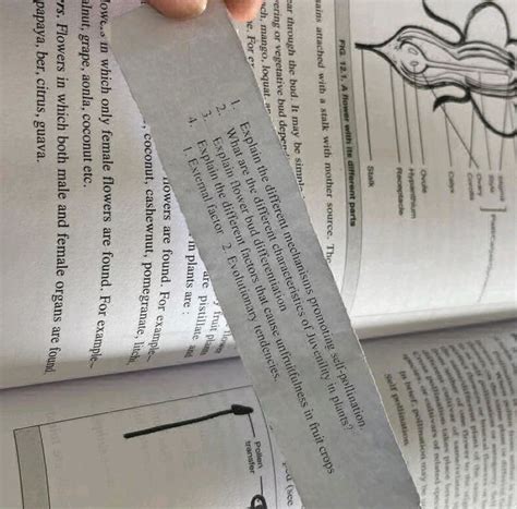 1 Explain The Different Mechanisms Promoting StudyX