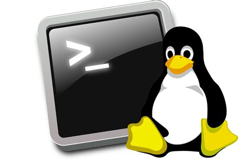 Linux Commands Everyone Should Know