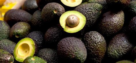 Por Qué Están Tan Caros Los Aguacates Agronoticias