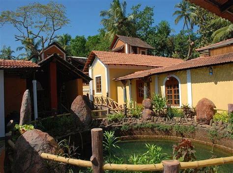 Top 15 Places To Visit In North Goa Triphobo
