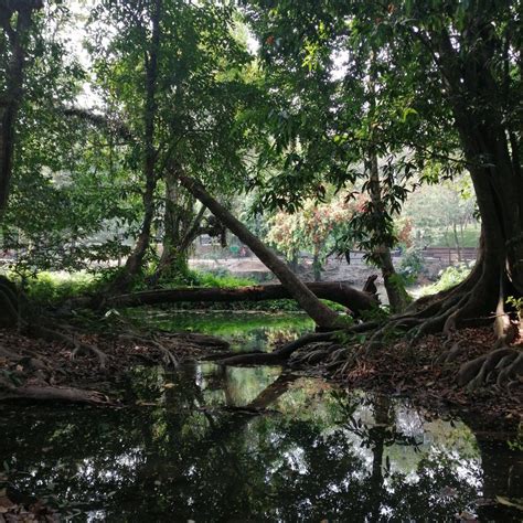 รูป อุทยานแห่งชาติน้ำตกเจ็ดสาวน้อย