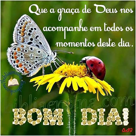 Lindas Mensagens Bom Dia