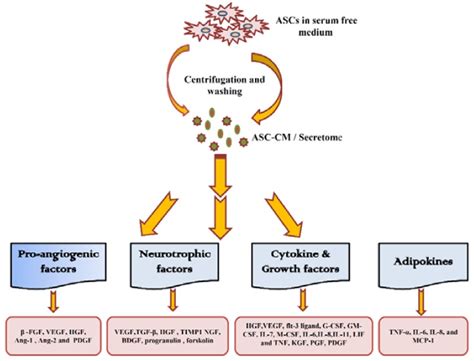 Revisiting The Advances In Isolation Characterization And Secretome Of