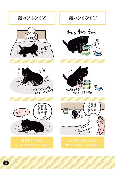 弟の愛猫むーちゃんとの同居生活も収録！猫飼いあるあるがぎっしりな『黒猫ろんと暮らしたら3』｜ねこナビ