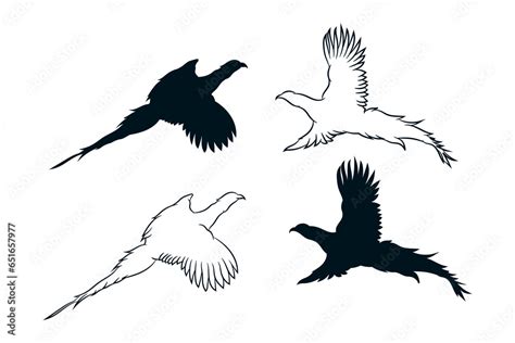 Pheasant Bird Flying Line Drawing And Silhouette Collection Vector