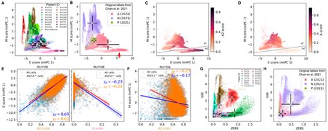 Detection Of Epithelial And Mesenchymal Like Sclc Subtypes In Human