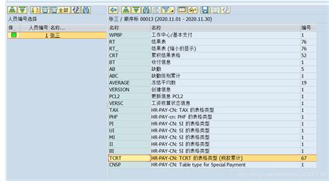 sap hr 获取 tcode pc payresult薪资数据 sap工资表数据存在哪里 csdn博客