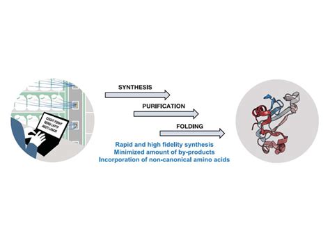 Pentelute Lab Mit Synthesis Of Proteins By Automated Flow Chemistry