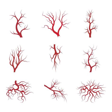 Vein Symbols