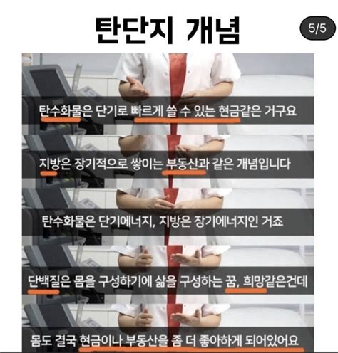 알기 쉬운 탄수화물단백질지방 개념 비유 에누리 쇼핑지식 자유게시판