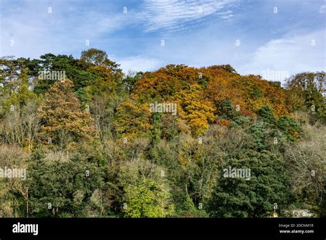 Autumnthe Colours Of Autumn Shown Here In The Trees Along The