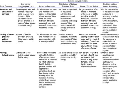 Example Gender Analysis Matrix Download Scientific Diagram