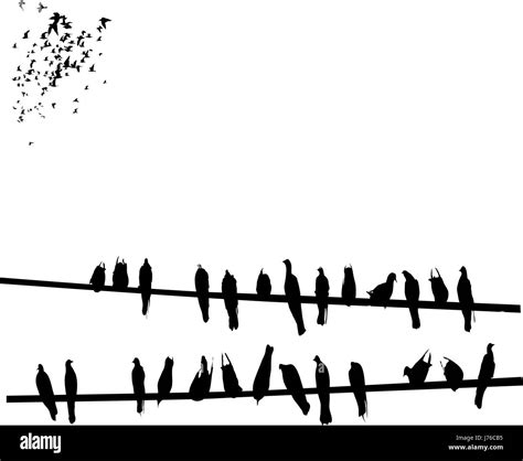 Animal Birds Illustration Blue Flight Bird Cloud Formation Illustration