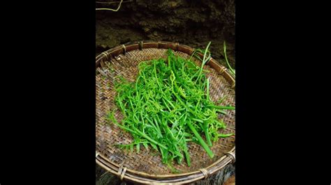 Some Recipe Chakma Food Part 1 Youtube