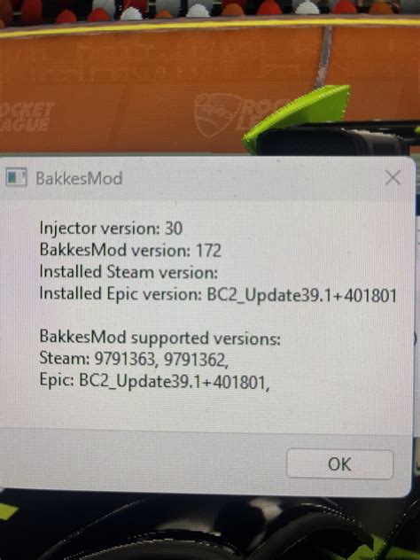 I Cant Use Item Modding Rbakkesmod