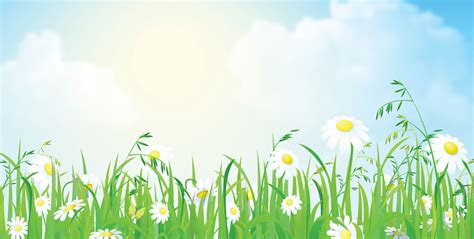 좋은 반짝 신선한 데이지 카모마일 꽃 잔디 잔디 Bokeh 흐림 효과 선샤인 빔 배경 자연 봄 여름 배경 컬렉션입니다 0명에 대한 스톡 벡터 아트 및 기타 이미지 Istock