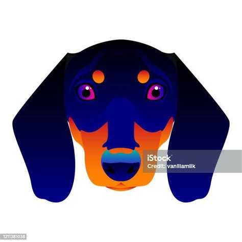 흰색에 고립 된 추상 닥스 훈트 개 머리 디자인 카드 초대장 배너 책 스크랩북 티셔츠 포스터 등을 위한 가상의 색상으로 그려진 그래픽 만화 닥스훈트 개 초상화 가축에 대한