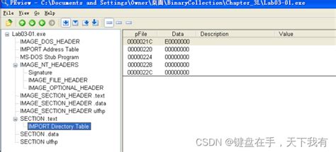 lab03 01 exe恶意代码分析 exe文件漏洞分析 csdn博客