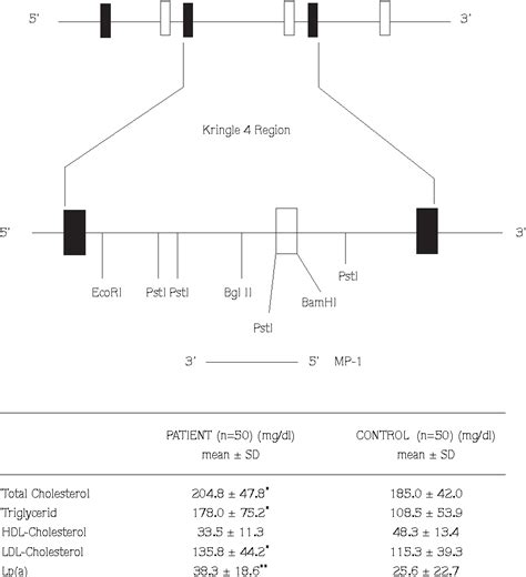 Figure 1 From The Use Of A Nonradioactive Digoxigenin Labeled Probe For Detection Of Apo A Gene