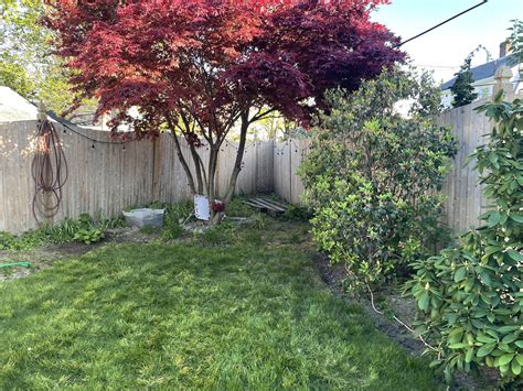 Pin By Paul Mariani On Monique And Tim Plants Garden