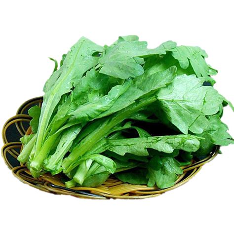 大叶青菜是什么菜图片 大叶芥菜图片 大菜图片大全 大山谷图库
