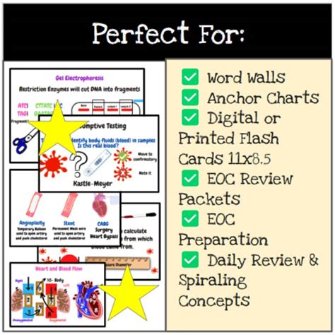Principles Taught In Biomedical Science Eoc Review By Teaching Biology Is Fun
