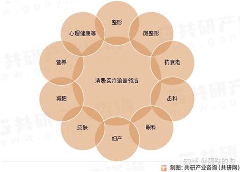 2023年中国消费医疗行业发展趋势分析：向更专业化、规范化、品牌化的方向发展[图] 知乎