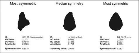 three shapes depicting the variation in symmetry throughout the dataset