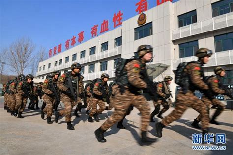 烟台：实战演练砺精兵 半岛网