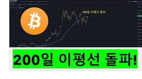 비트코인 65000 회복하며 200일 이평선 돌파는 설레임을 주기에 충분 알트뿔장 시바이누 레이어제로 펜들 피스
