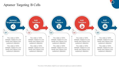 Aptamer Targeting B Cells In Ppt Powerpoint Presentation Slide Templates Cpp Ppt Example