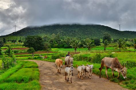 Sharath Hassan A Travelling Photographer Seege Gudda Hassan Taluk
