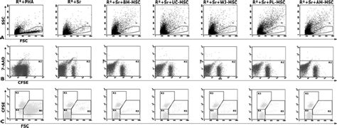 Mixed Lymphocyte Reaction Mlr Assays Were Analysed By Flow Cytometry