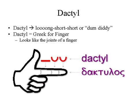Dactylic Hexameter What Is Meter Meter Rhythm A