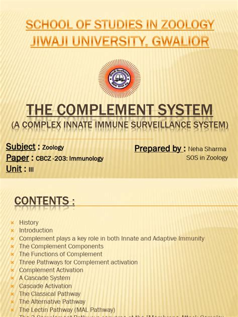 Understanding The Complement System Pdf Complement System Immune