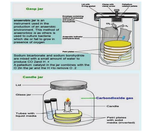 Creating Anaerobic Envitonment In Culturing Of Bacteria By
