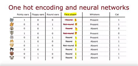 Understanding One Hot Coding Advanced Learning Algorithms