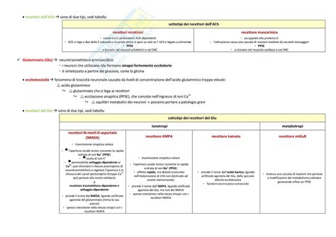 Basi Neurali Della Cognizione Appunti