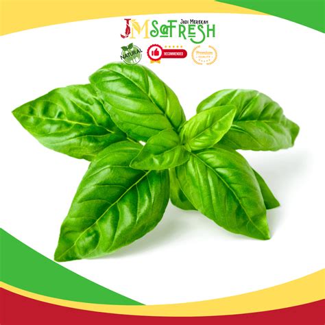 Jual Jmsofresh Daun Basil Segar Per Ikat 50 Gram Shopee Indonesia